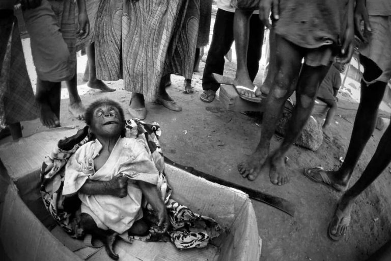The Most Heartbreaking Photographs Ever Recorded